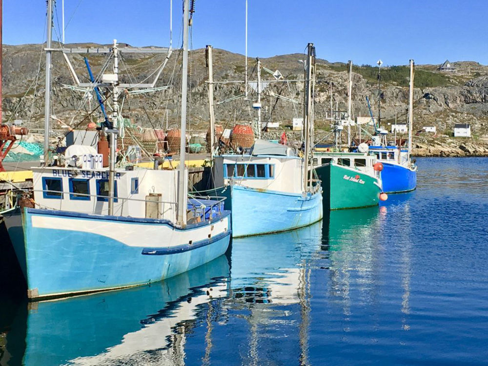 Introducing Fogo Island Fish